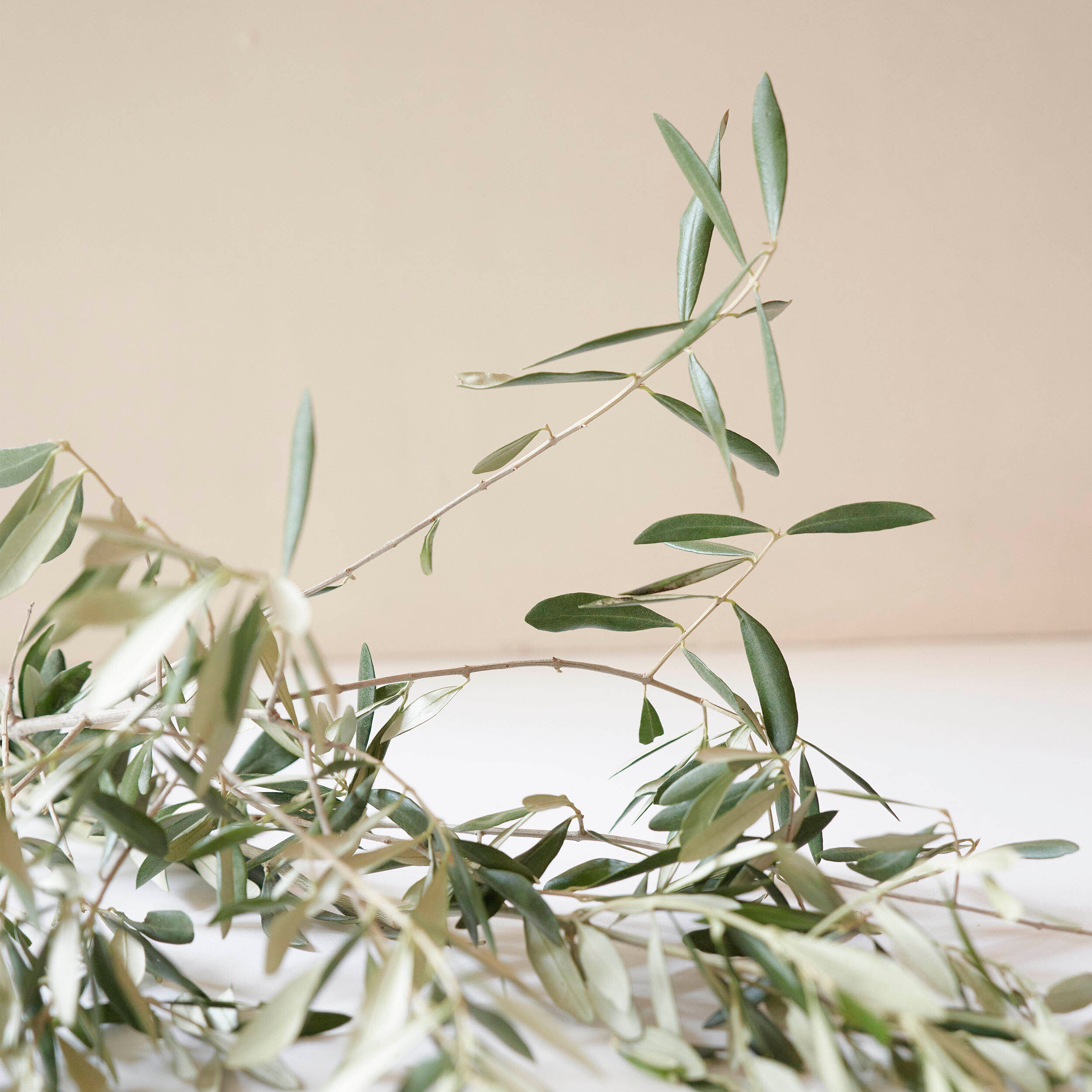 Foldtop (Oleatex Edition) - Souleway